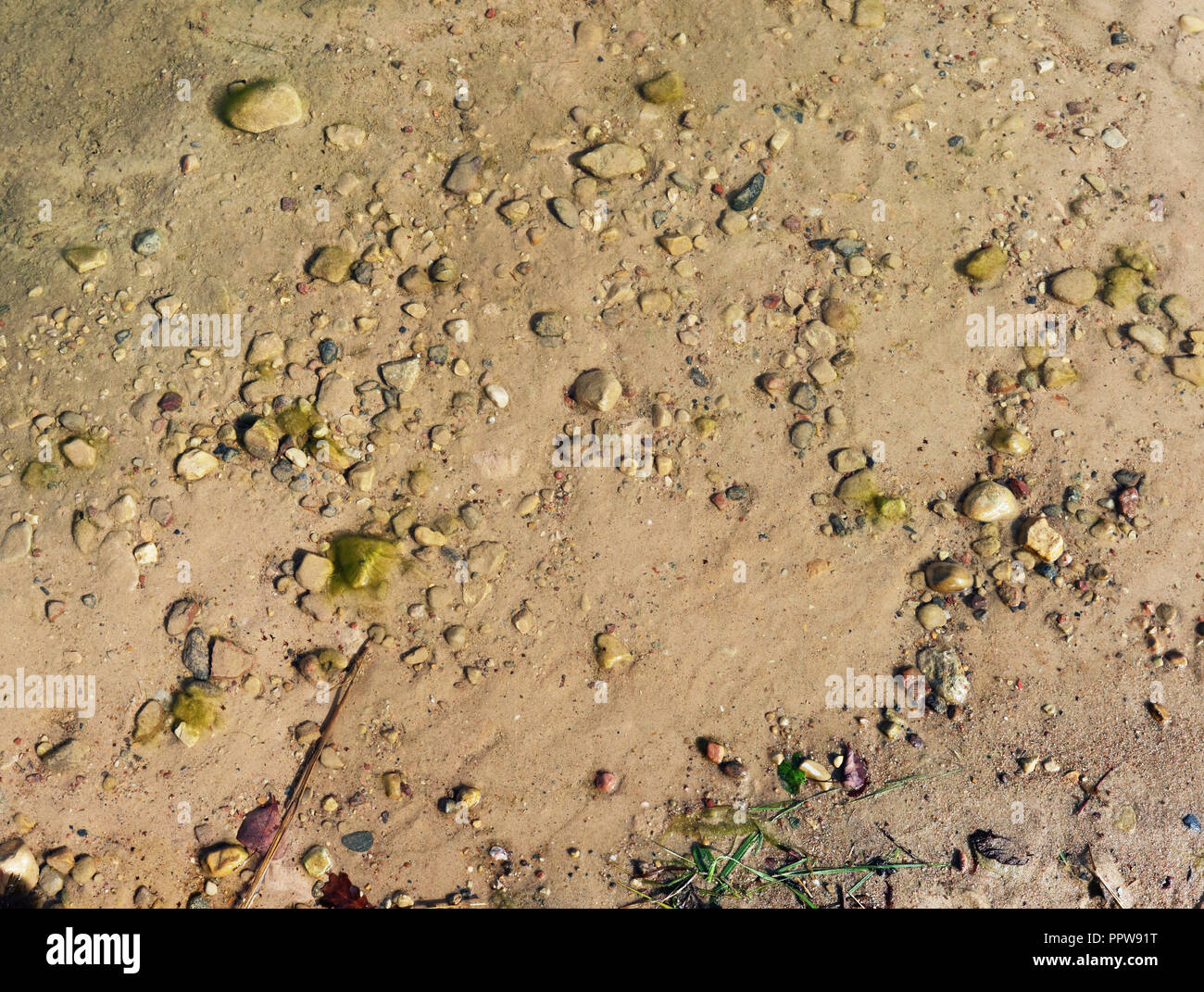 A layer of clean water above the sandy bottom of the cold Lithuanian ...