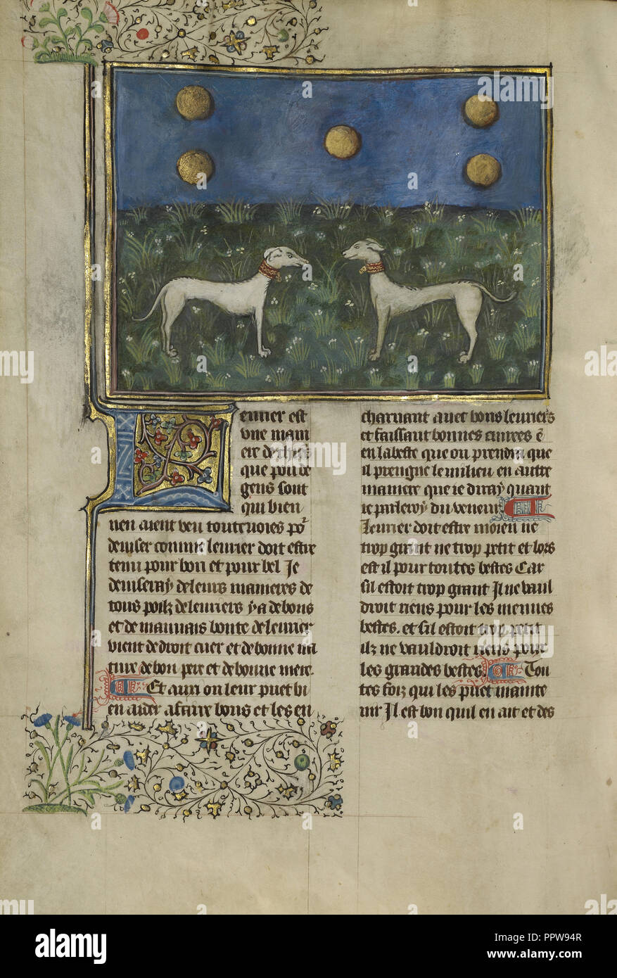 1430 1440 hi-res stock photography and images - Alamy