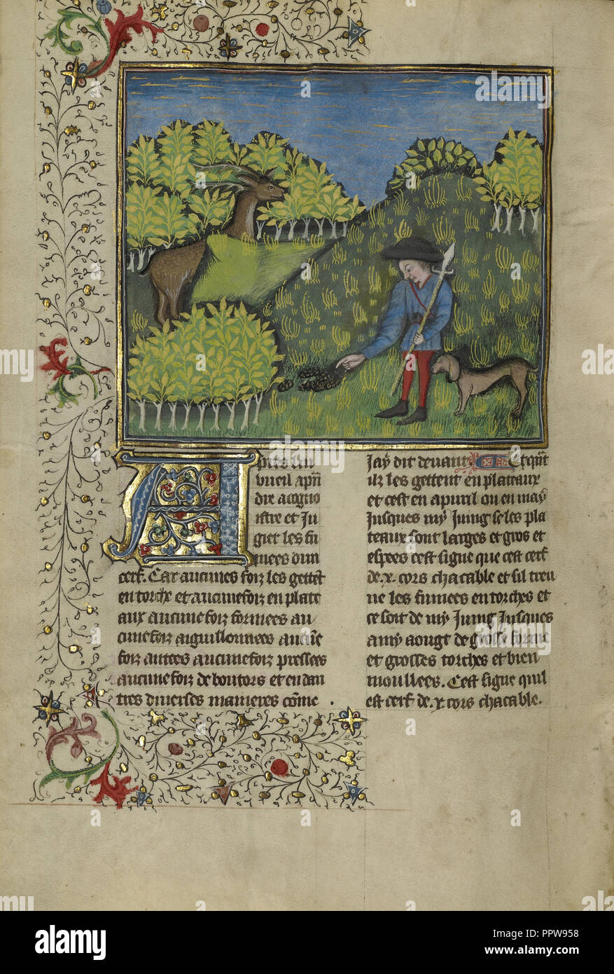 Deer spoor hi-res stock photography and images - Alamy