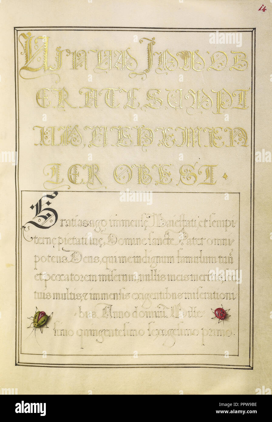 Beetlelike Insects; Joris Hoefnagel, Flemish , Hungarian, 1542 - 1600 ...