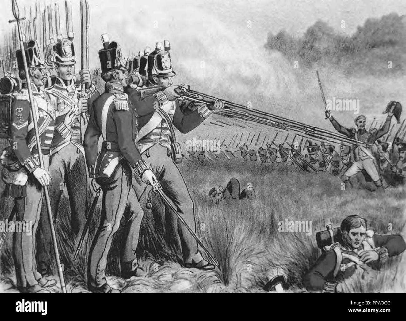 British napoleonic infantry Stock Photo - Alamy