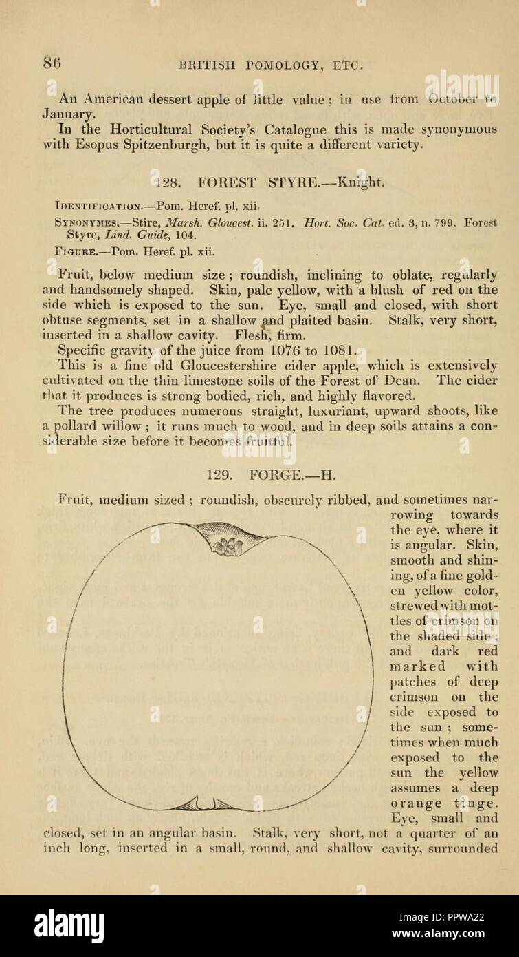 Pomology hi-res stock photography and images - Alamy