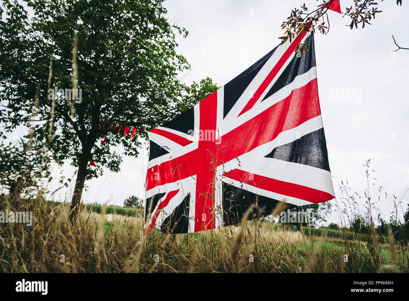 Union Jack flag stretched between trees, England in the forest Stock ...