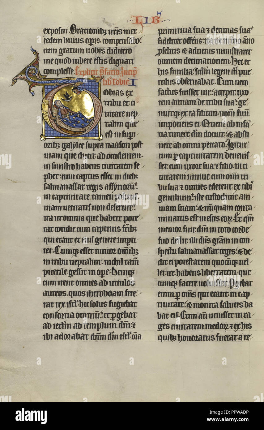 Tobit 11 hi-res stock photography and images - Alamy