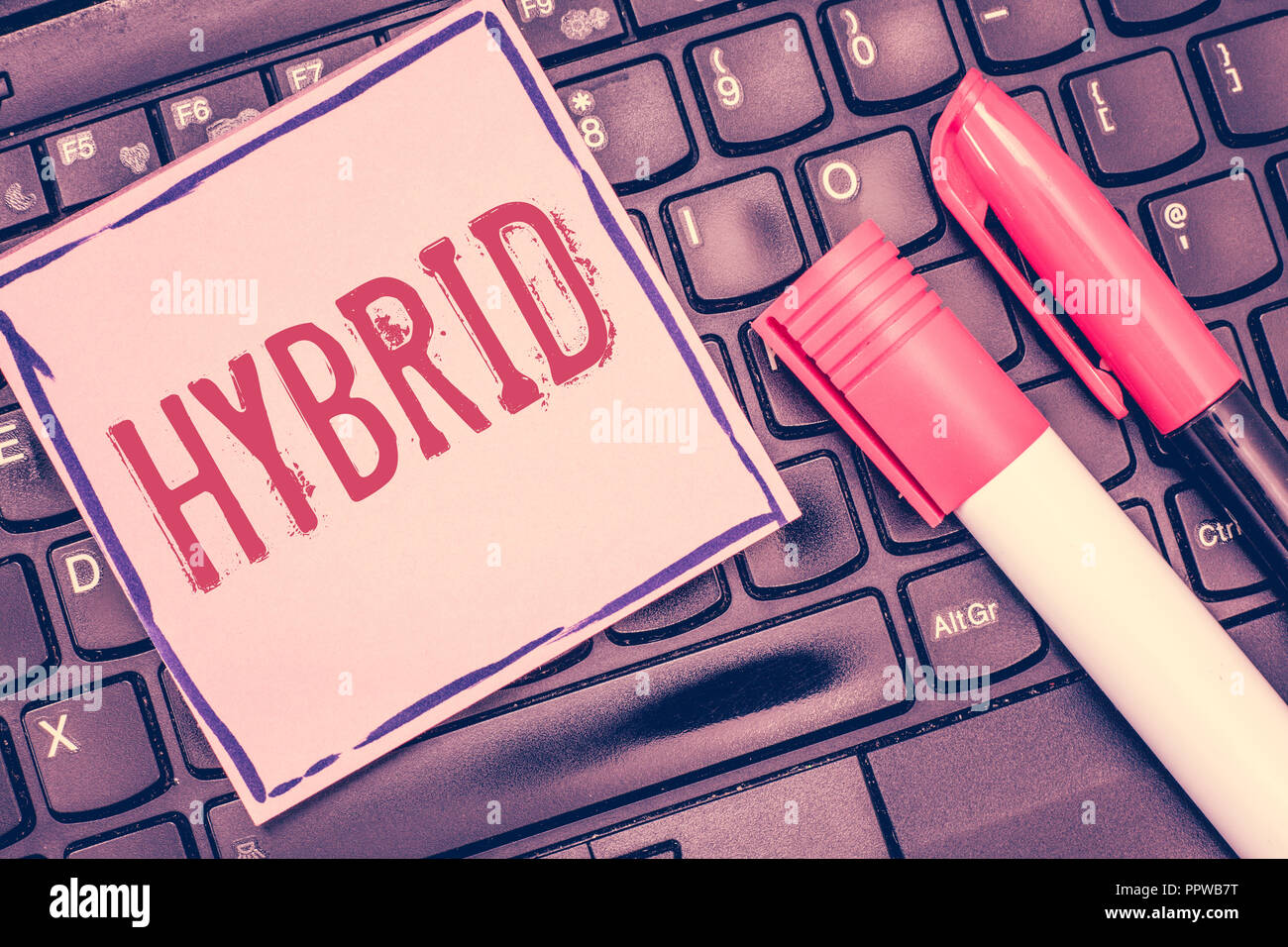 Word writing text Hybrid. Business concept for offspring of two plants ...