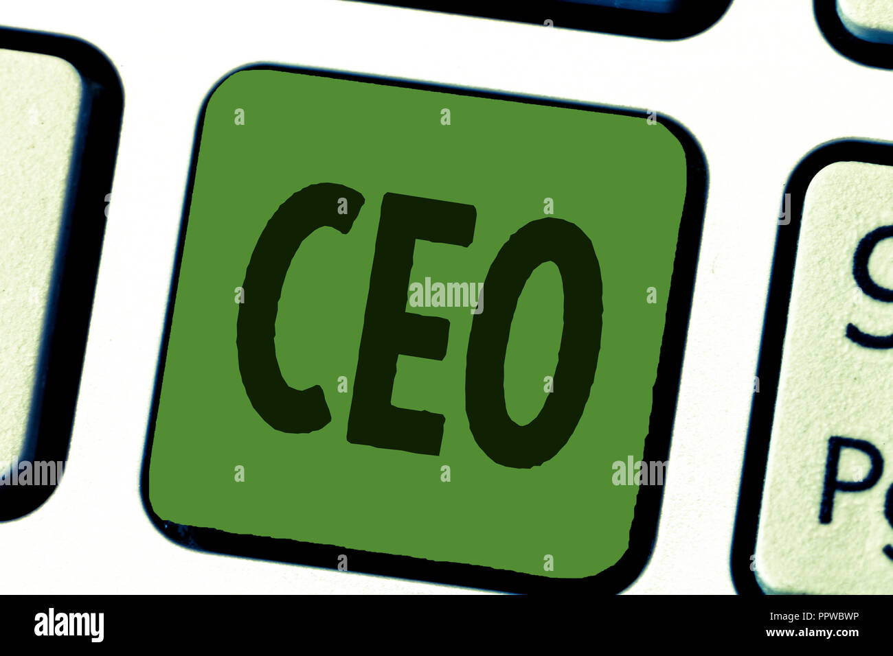 Conceptual hand writing showing Ceo. Business photo text Main person ...