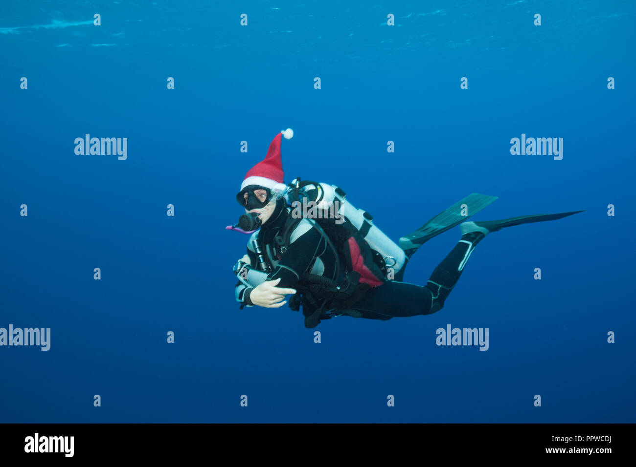 Scuba Diving at Christmas, Brother Islands, Red Sea, Egypt Stock Photo ...