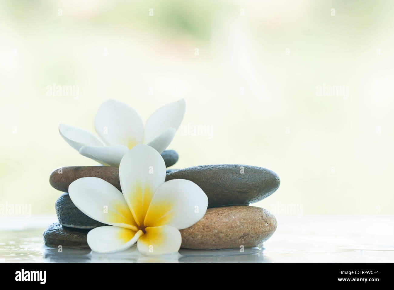 spa flowers in stones on white marble background Stock Photo - Alamy