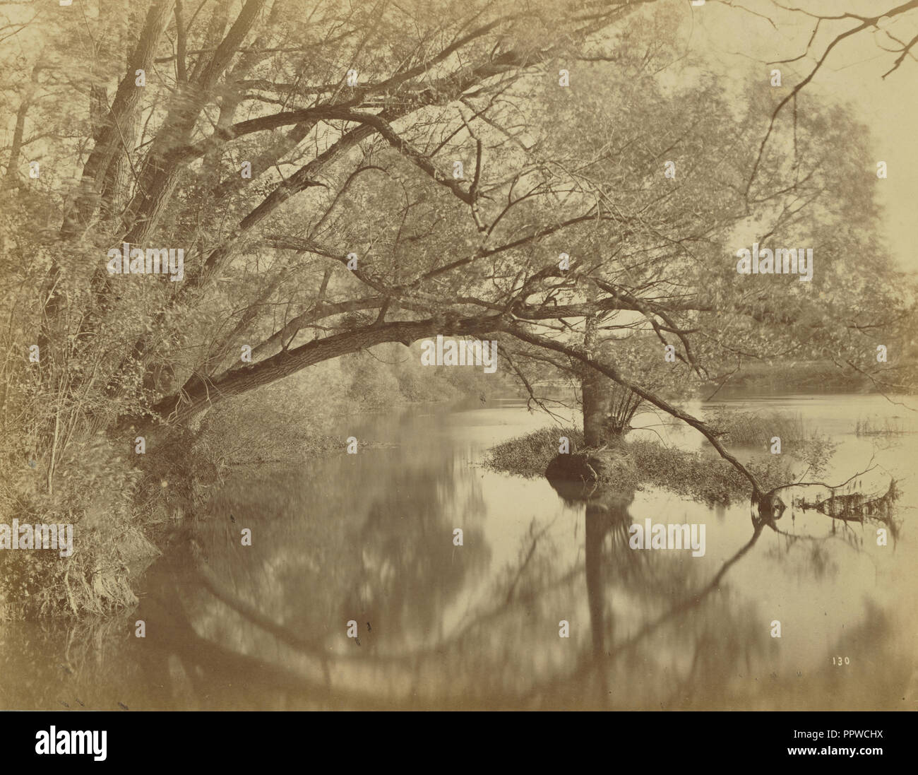 Nature Studies; Achille Quinet, French, 1831 - 1900, France; about 1875 ...