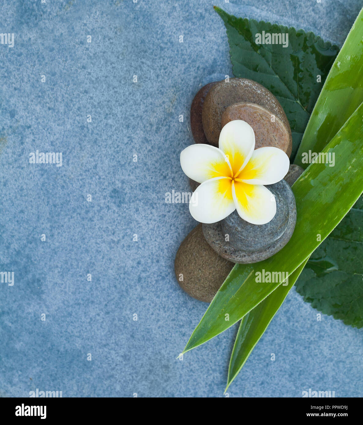 Top view of spa flower and tropical set for massage treatment Stock ...
