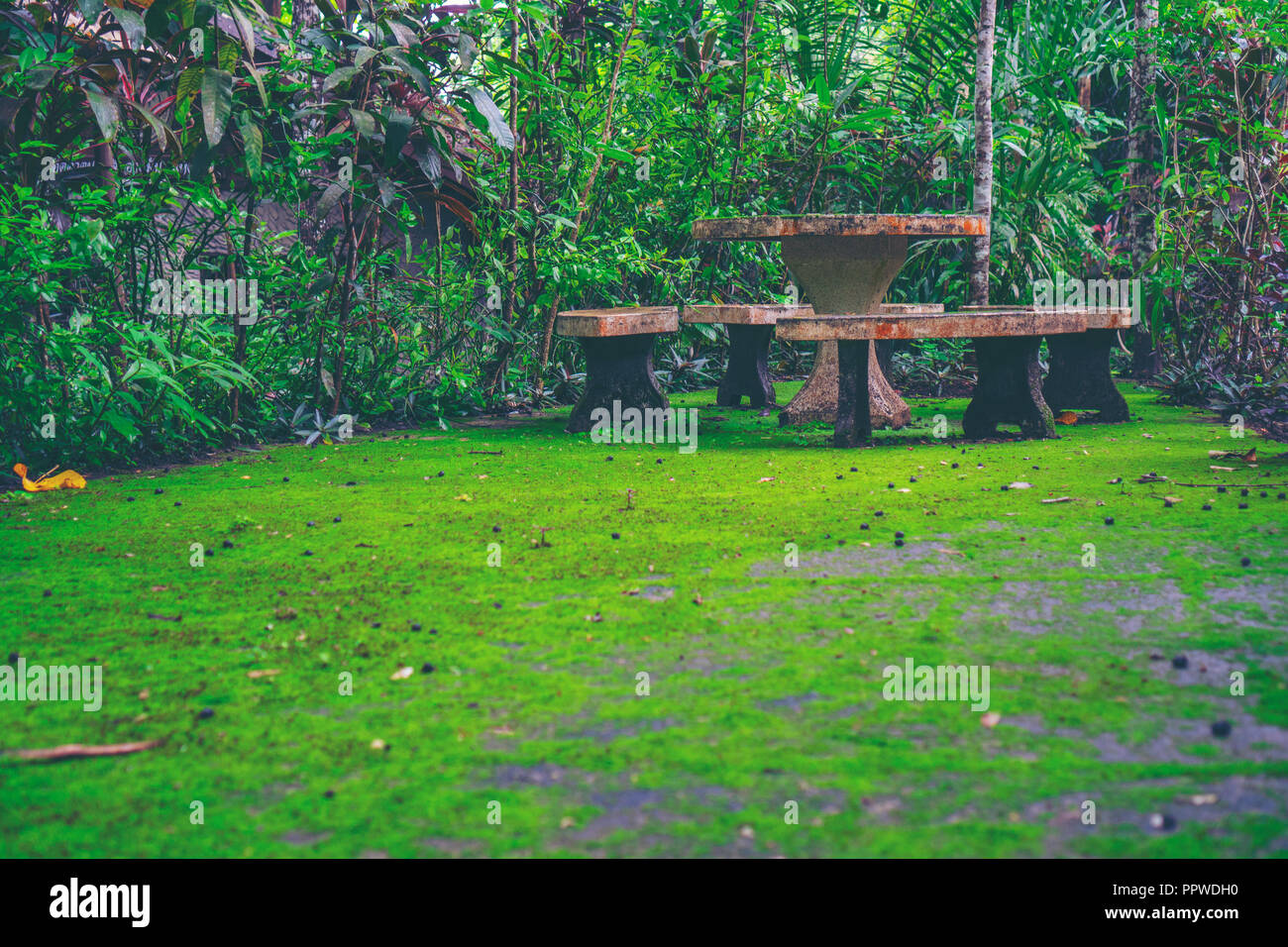 green space, table set in the garden Stock Photo - Alamy