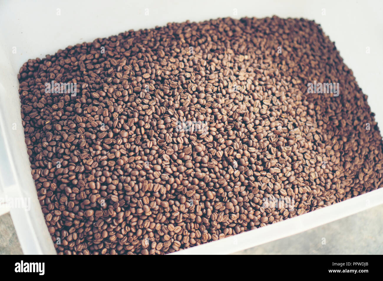 The freshly roasted coffee beans from a large coffee roaster being ...