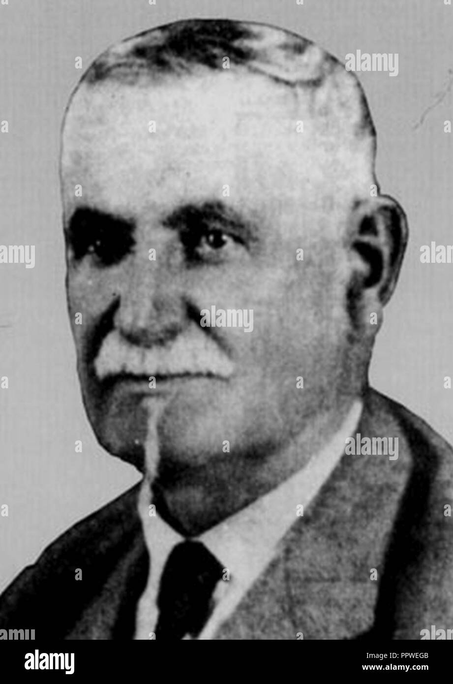 Dan Petronijevic Body