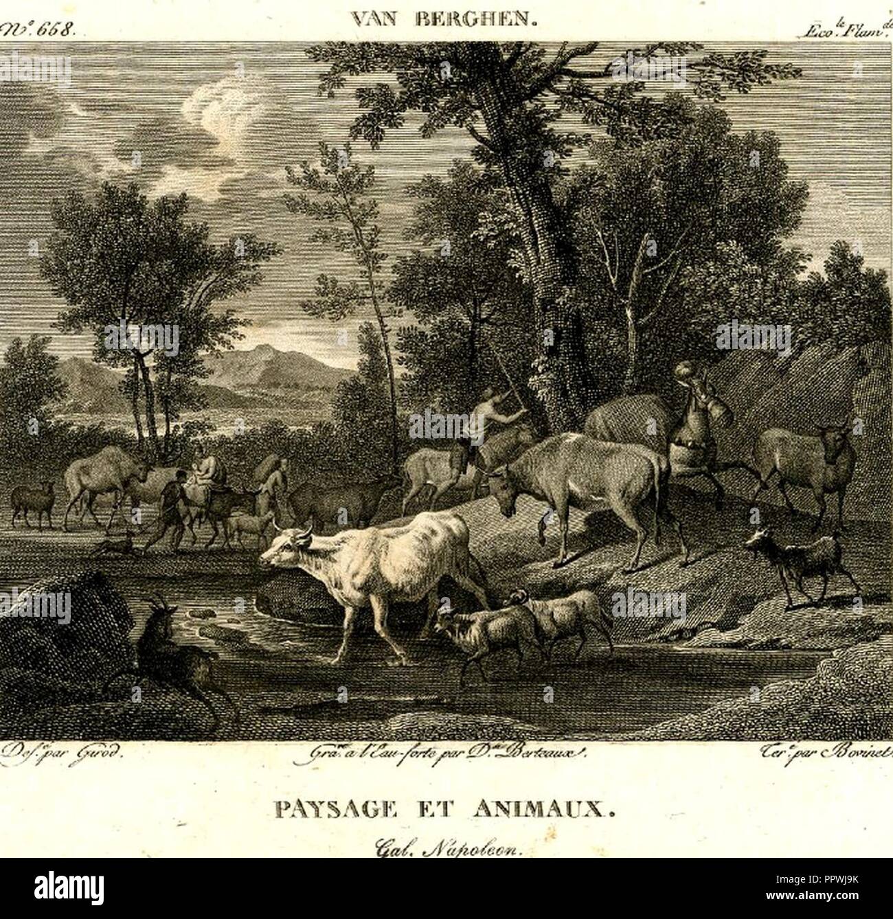 Bovinet - Paysage et animaux Stock Photo - Alamy