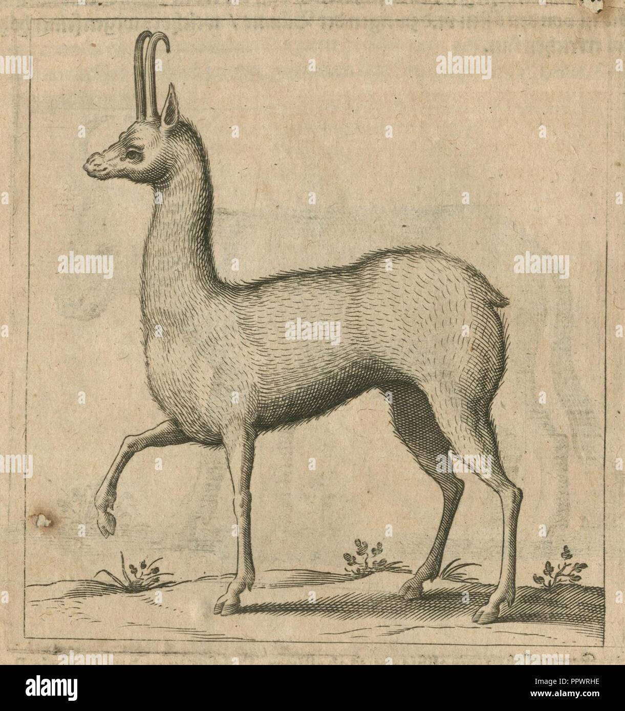 Castle of cairo hi-res stock photography and images - Alamy