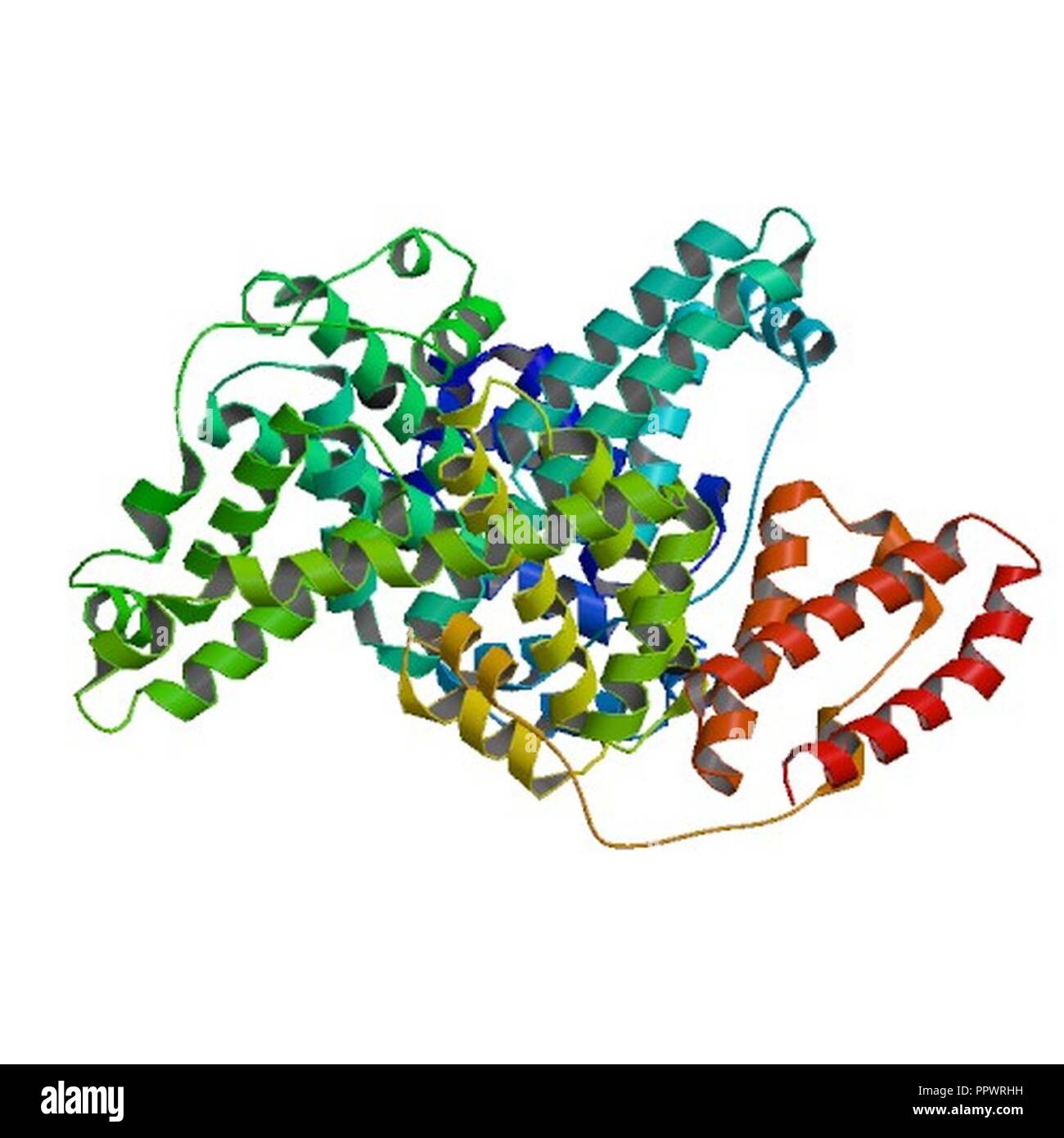 Serum albumin Cut Out Stock Images & Pictures - Alamy