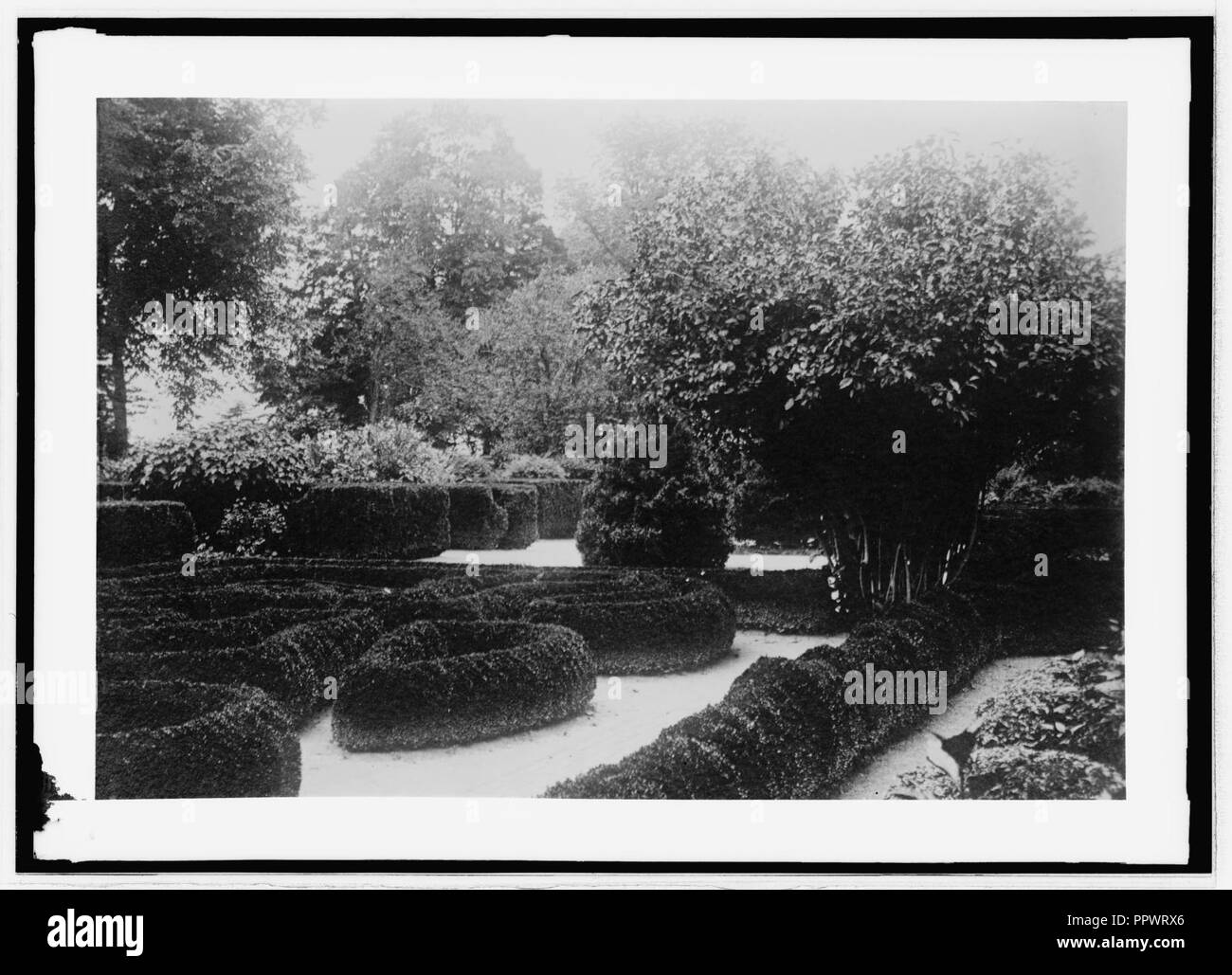 Box Hedges, Mt. Vernon Stock Photo - Alamy