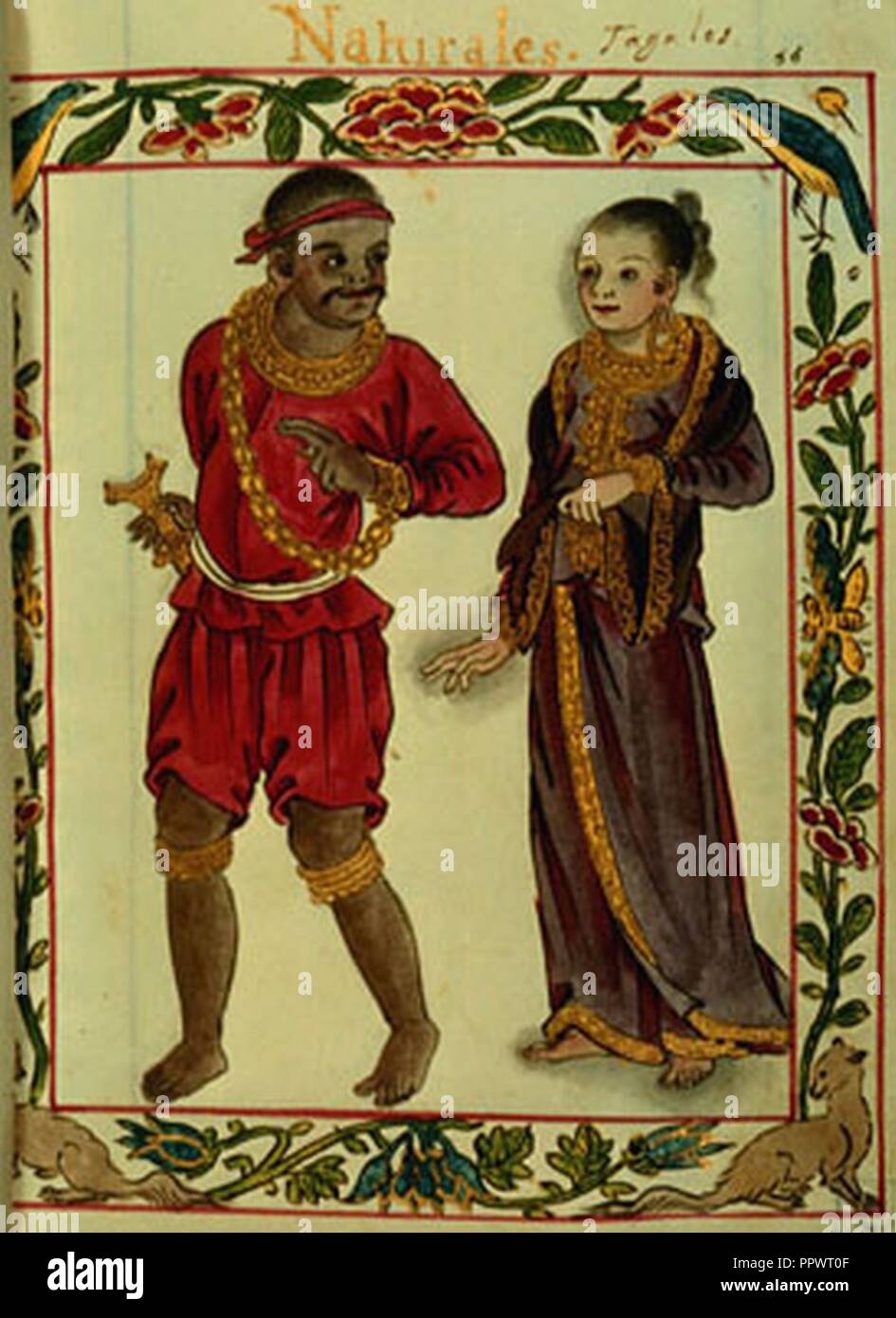 Boxer codex hi-res stock photography and images - Alamy