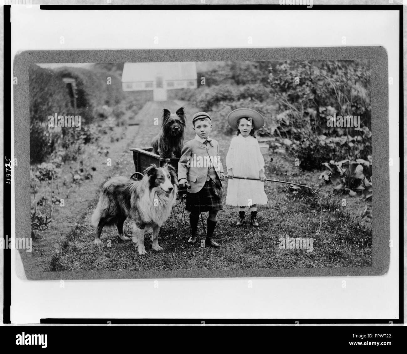 Two dogs photo Black and White Stock Photos & Images - Alamy