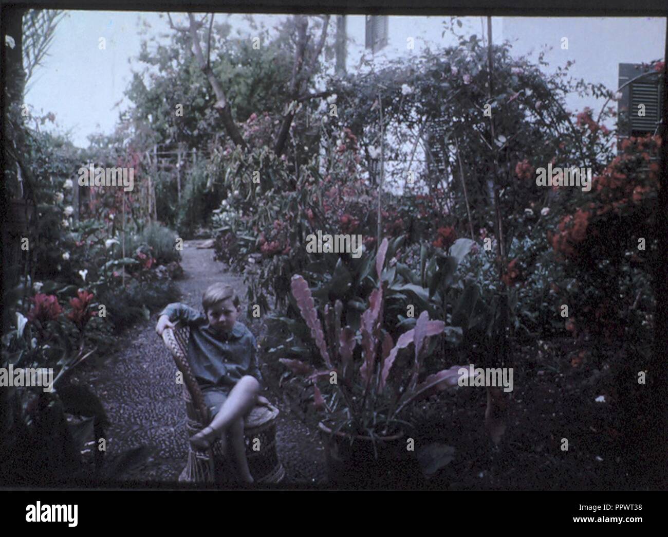Boy in a Garden in Madeira by Sarah Angelina Acland c.1915 Stock Photo ...