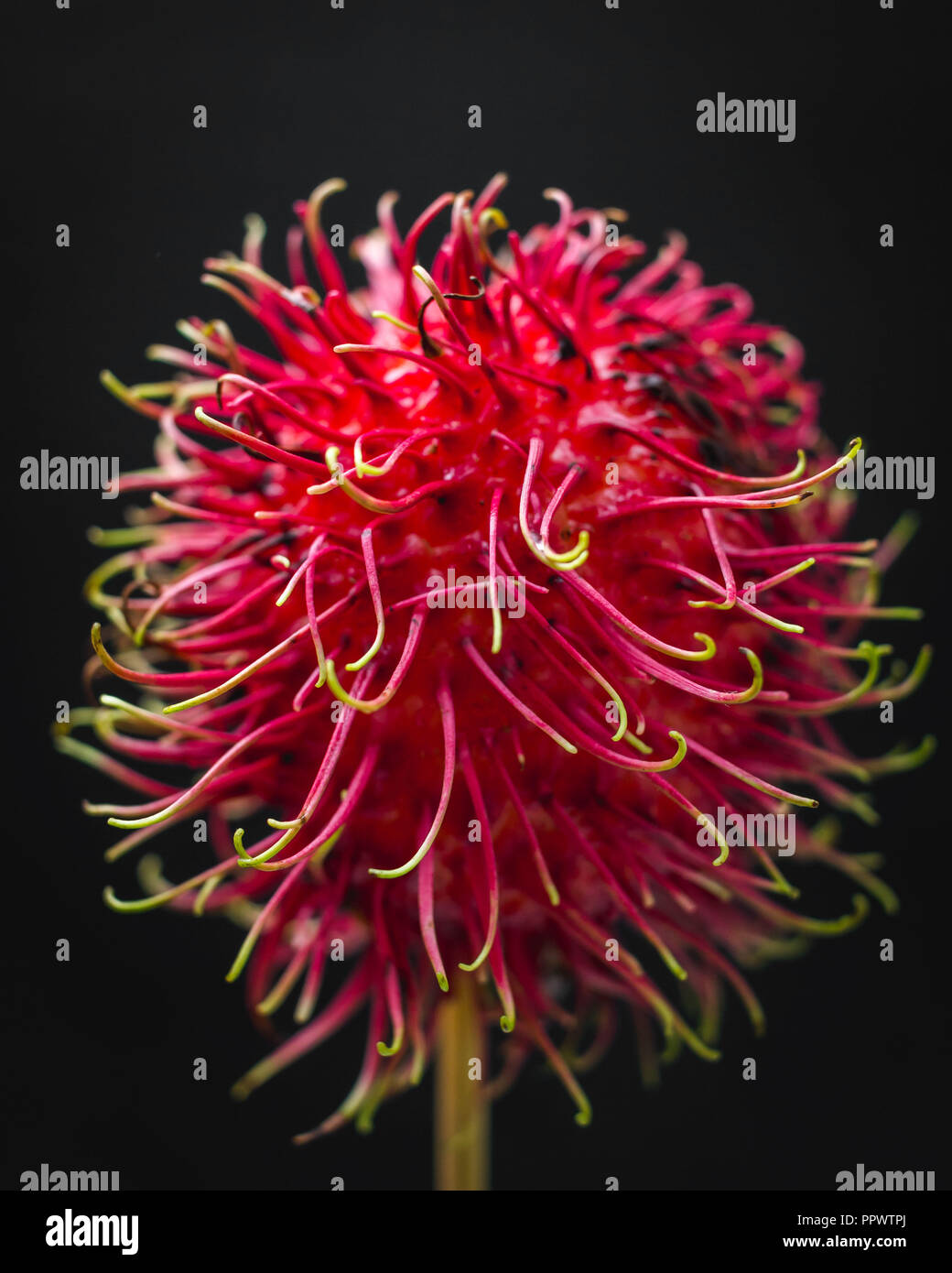 Mine And Ours High Resolution Stock Photography and Images - Alamy