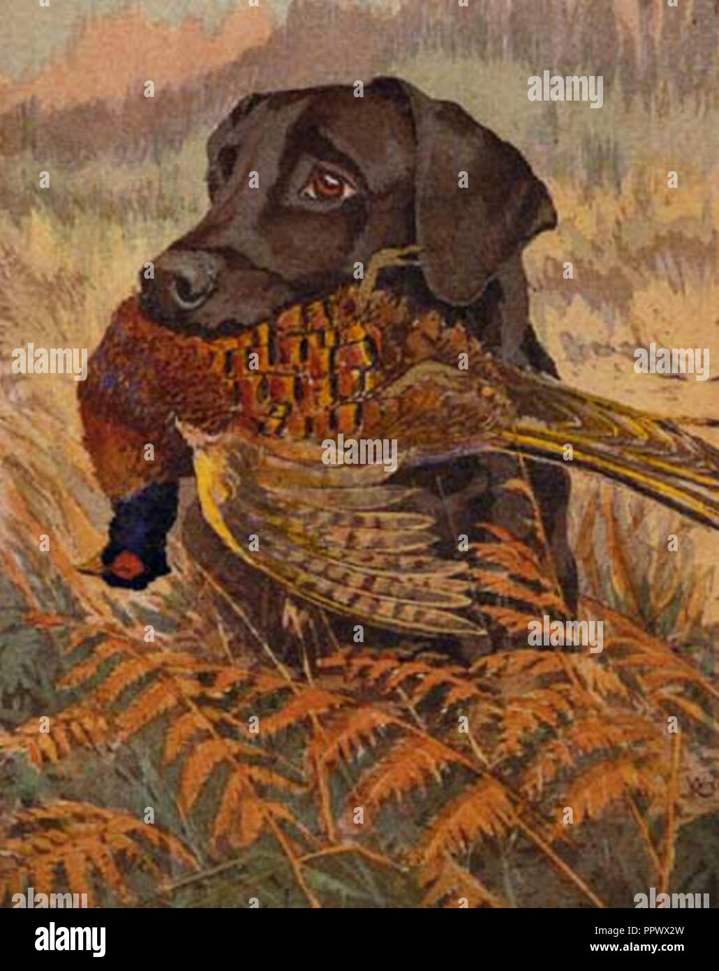 Bramshaw bob painting Stock Photo - Alamy