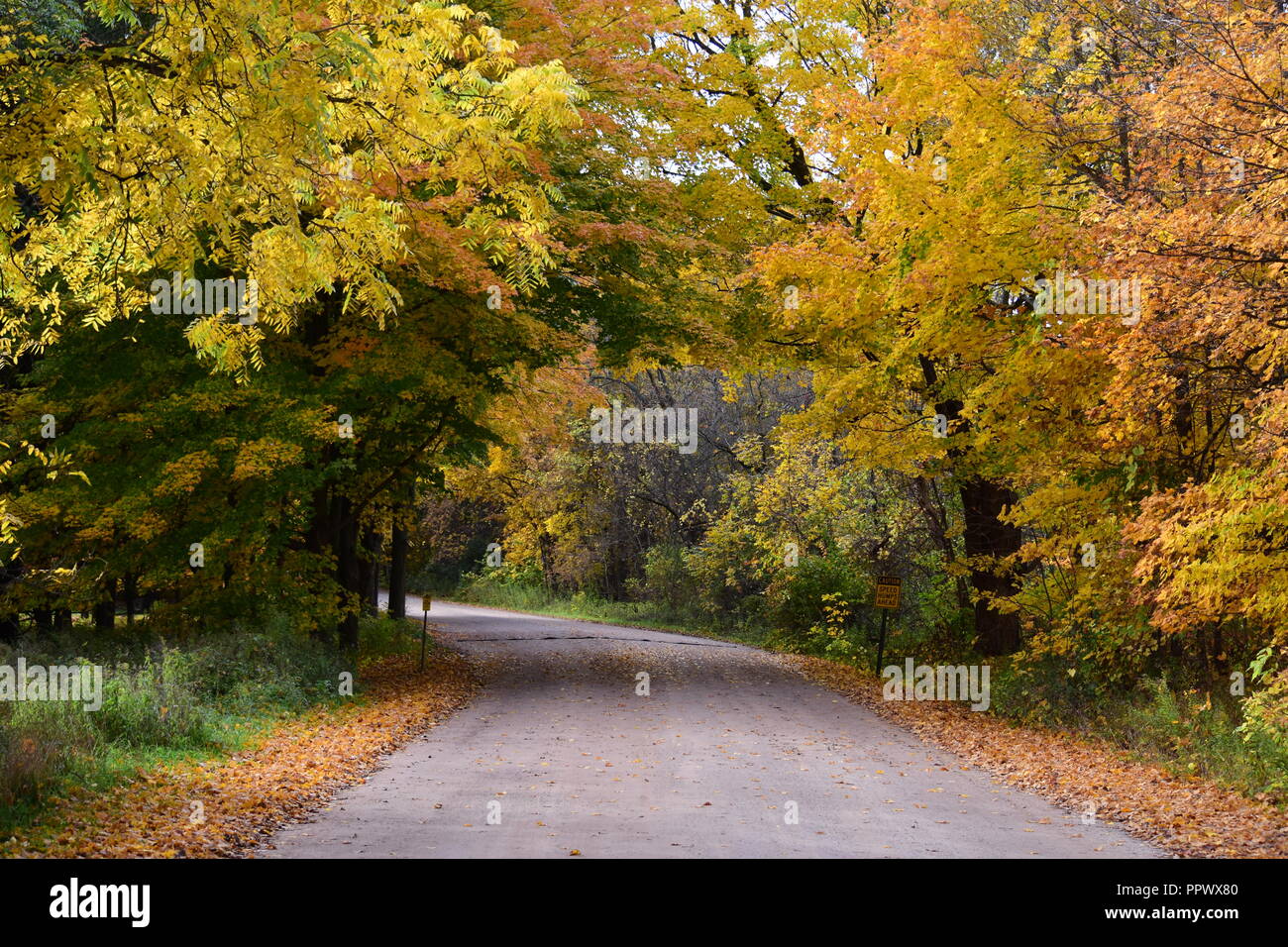Chippewa nature center autumn leaves hi-res stock photography and ...
