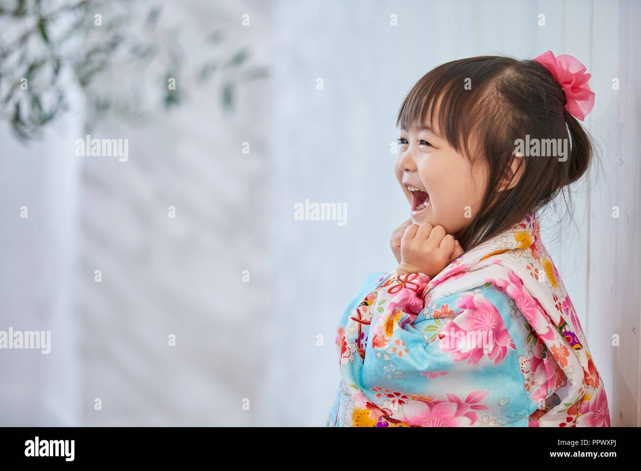 Japanese traditional Shichi-Go-San Stock Photo - Alamy