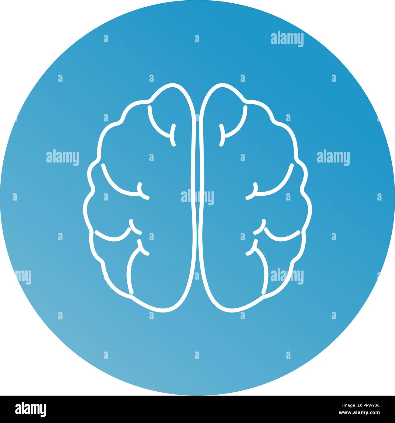 Vector line brain Stock Vector Image & Art - Alamy