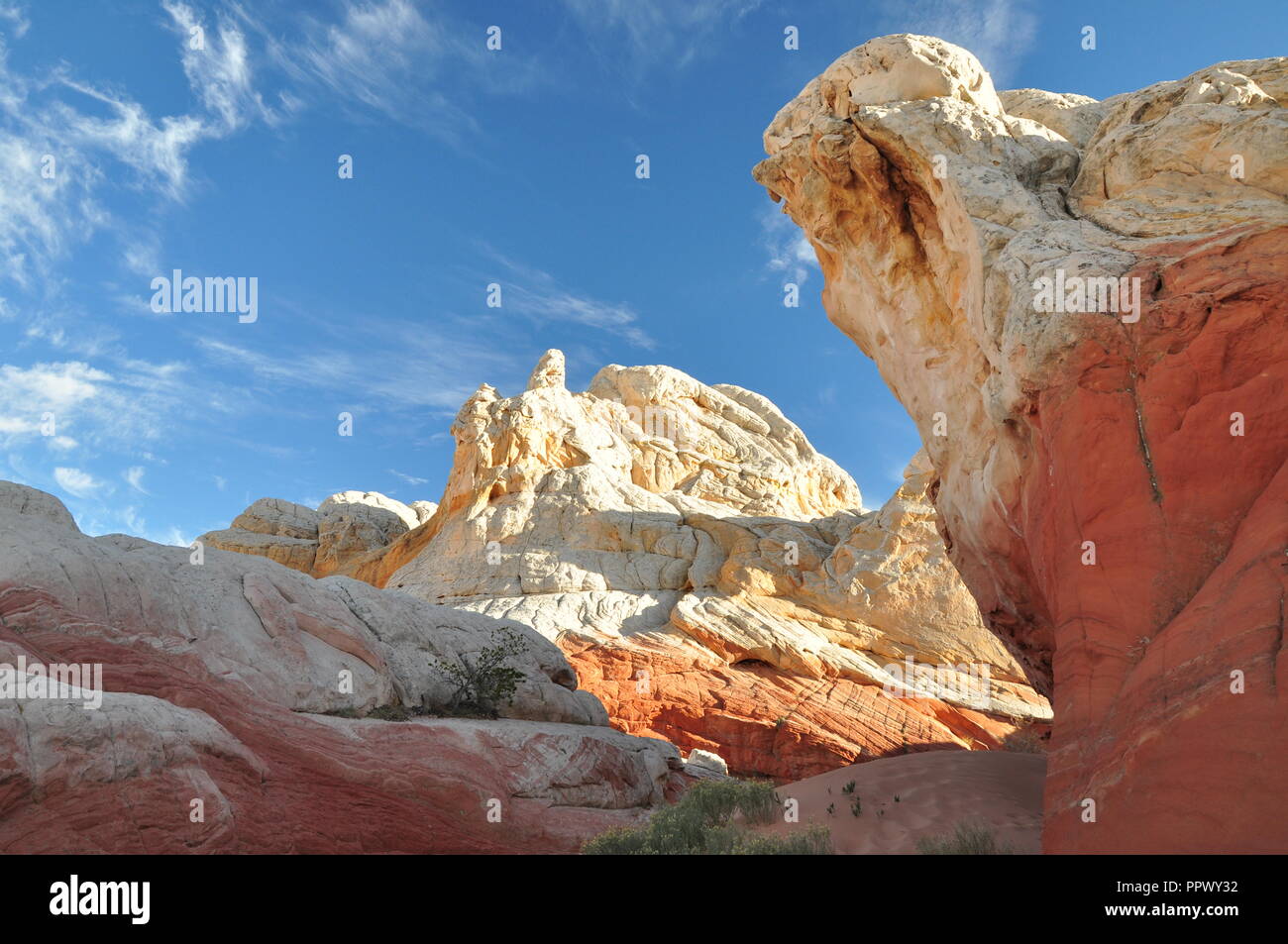 White pocket arizona hi-res stock photography and images - Alamy