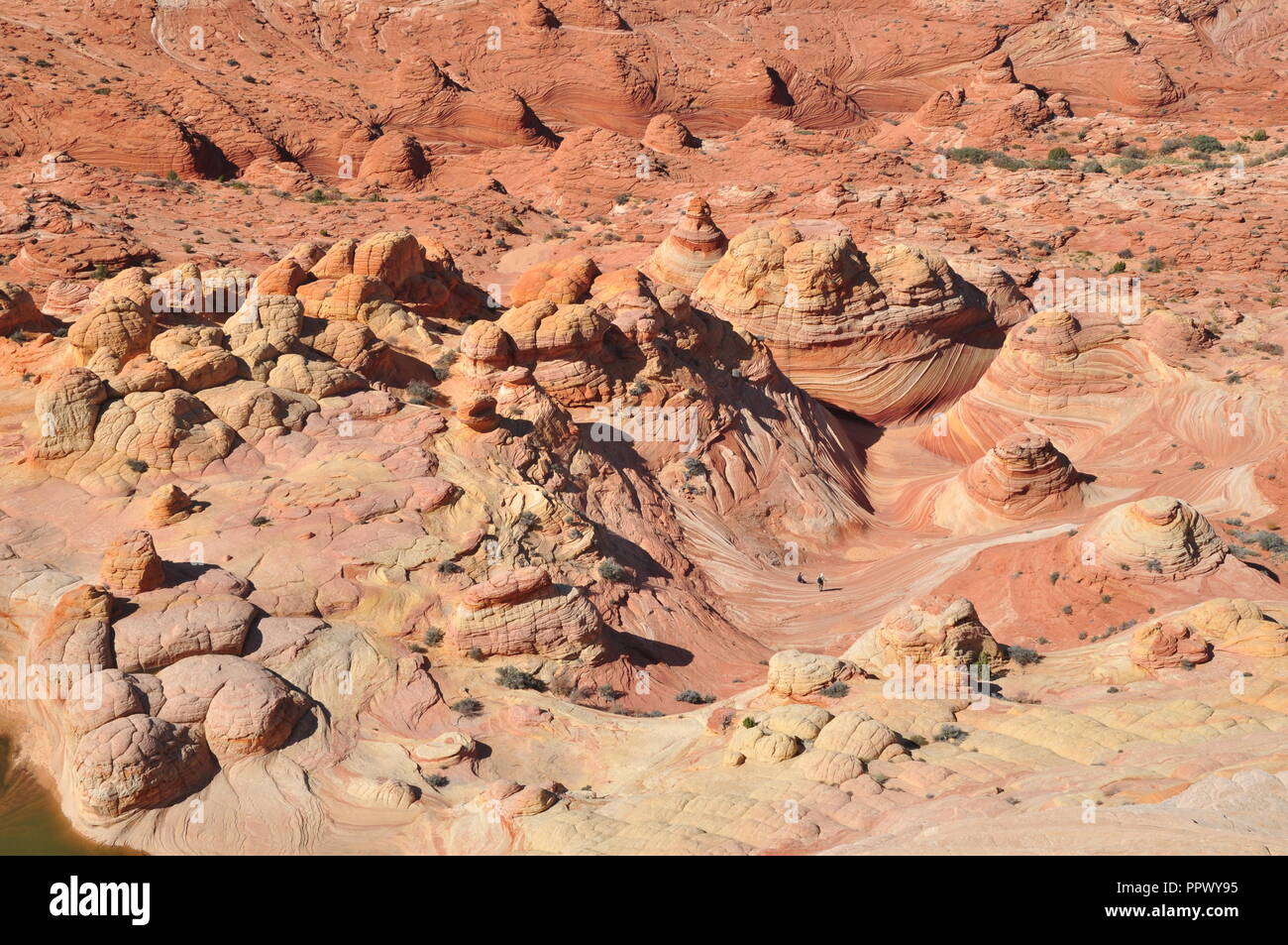 North Coyote Buttes, Arizona, USA - 10.2013 Stock Photo - Alamy