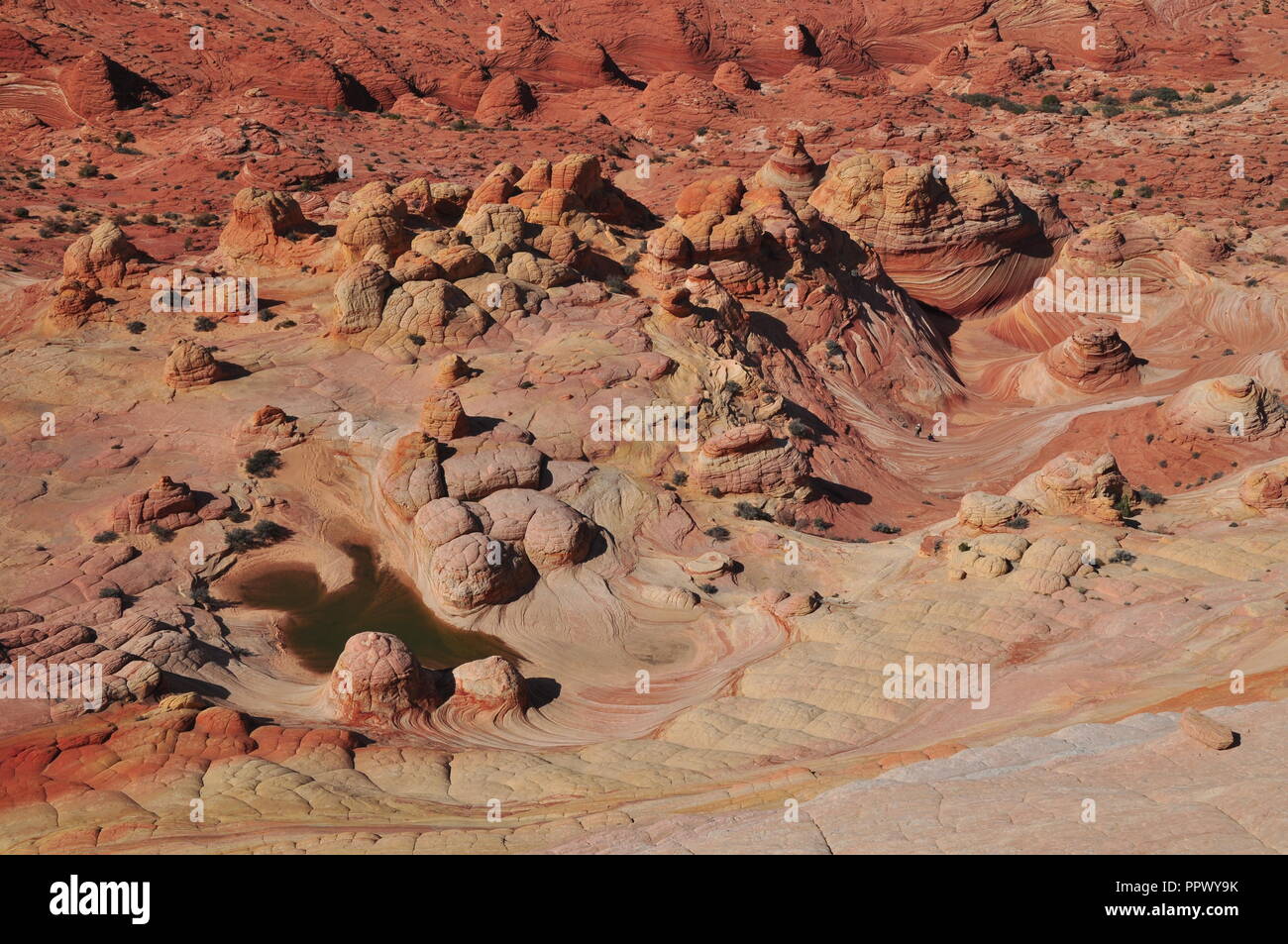 North Coyote Buttes, Arizona, USA - 10.2013 Stock Photo - Alamy