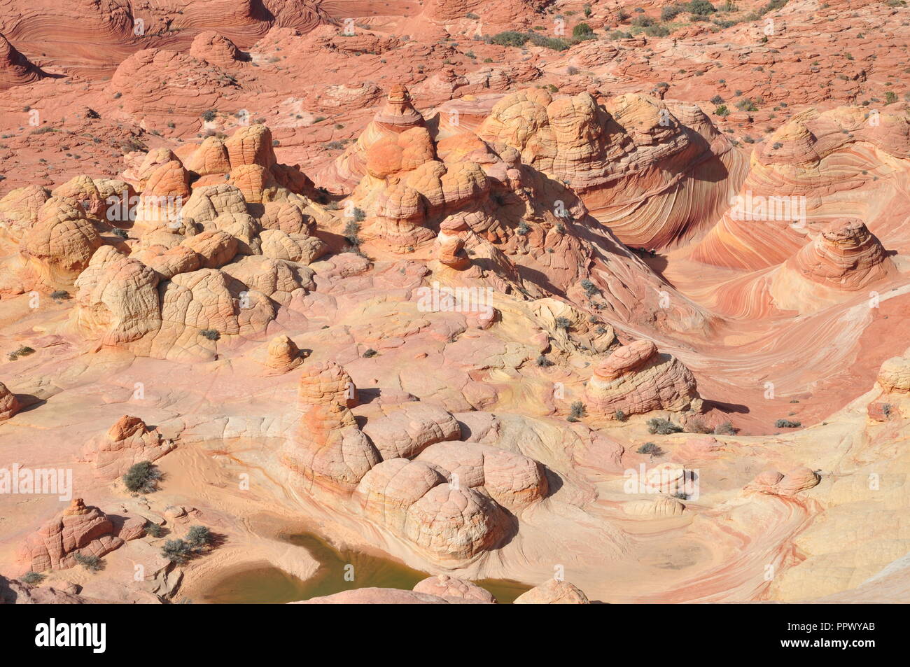 North Coyote Buttes, Arizona, USA - 10.2013 Stock Photo - Alamy