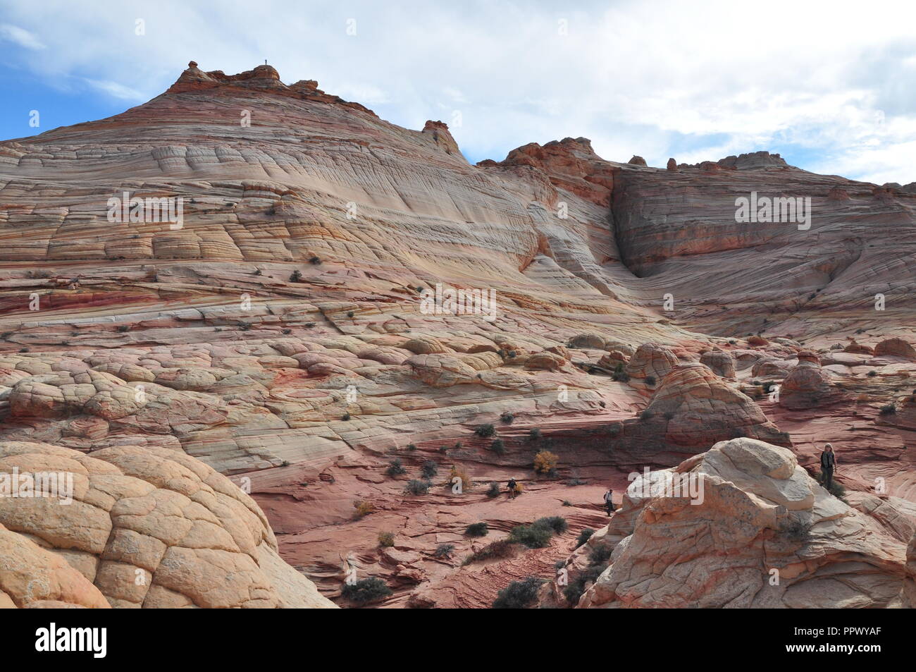 North coyote buttes hi-res stock photography and images - Alamy