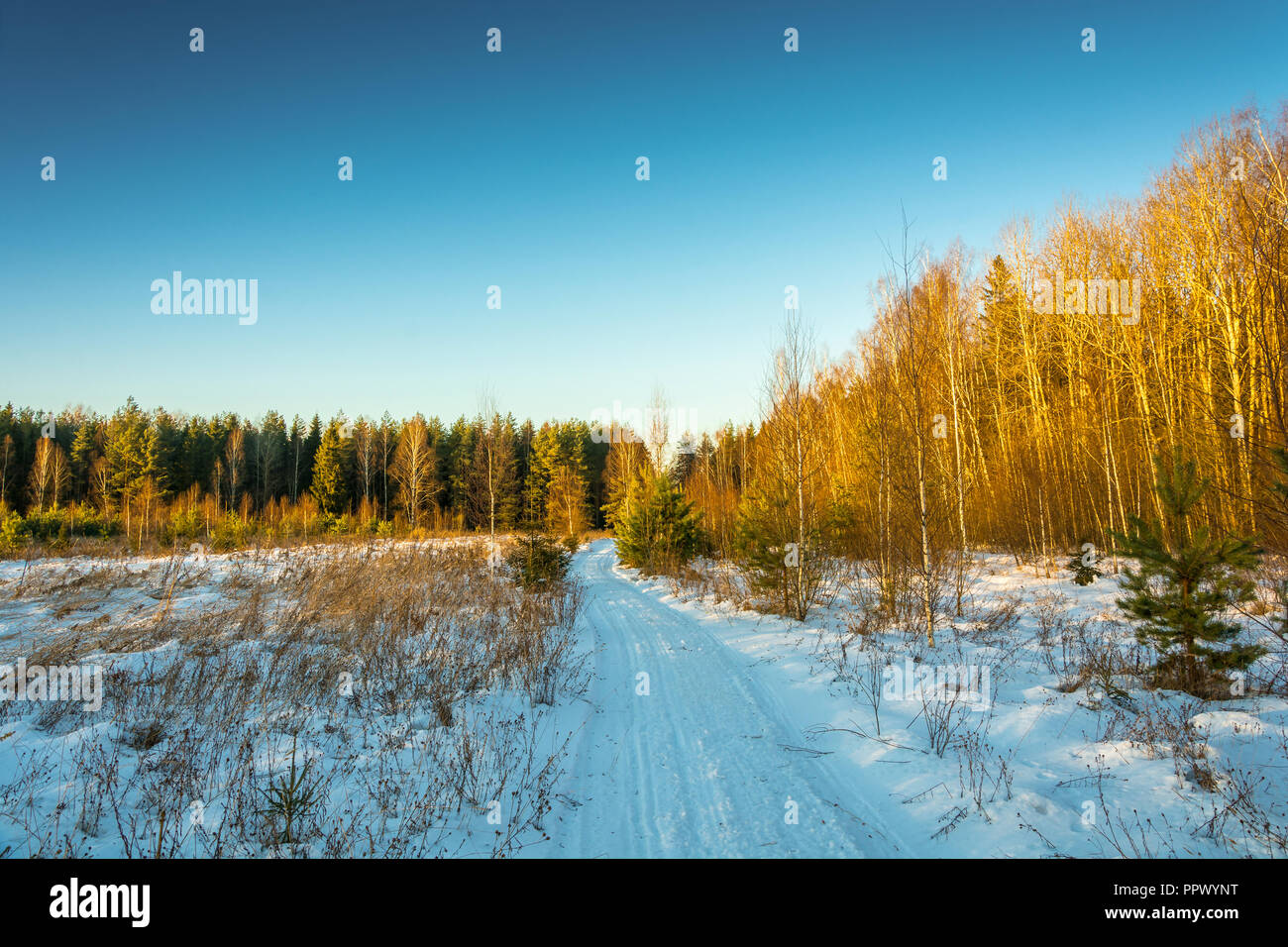Beautiful Russian winter landscape in the sunset Stock Photo - Alamy