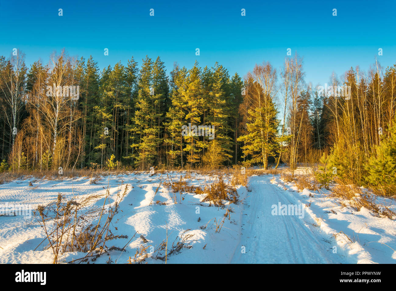 Beautiful Russian winter landscape in the sunset Stock Photo - Alamy