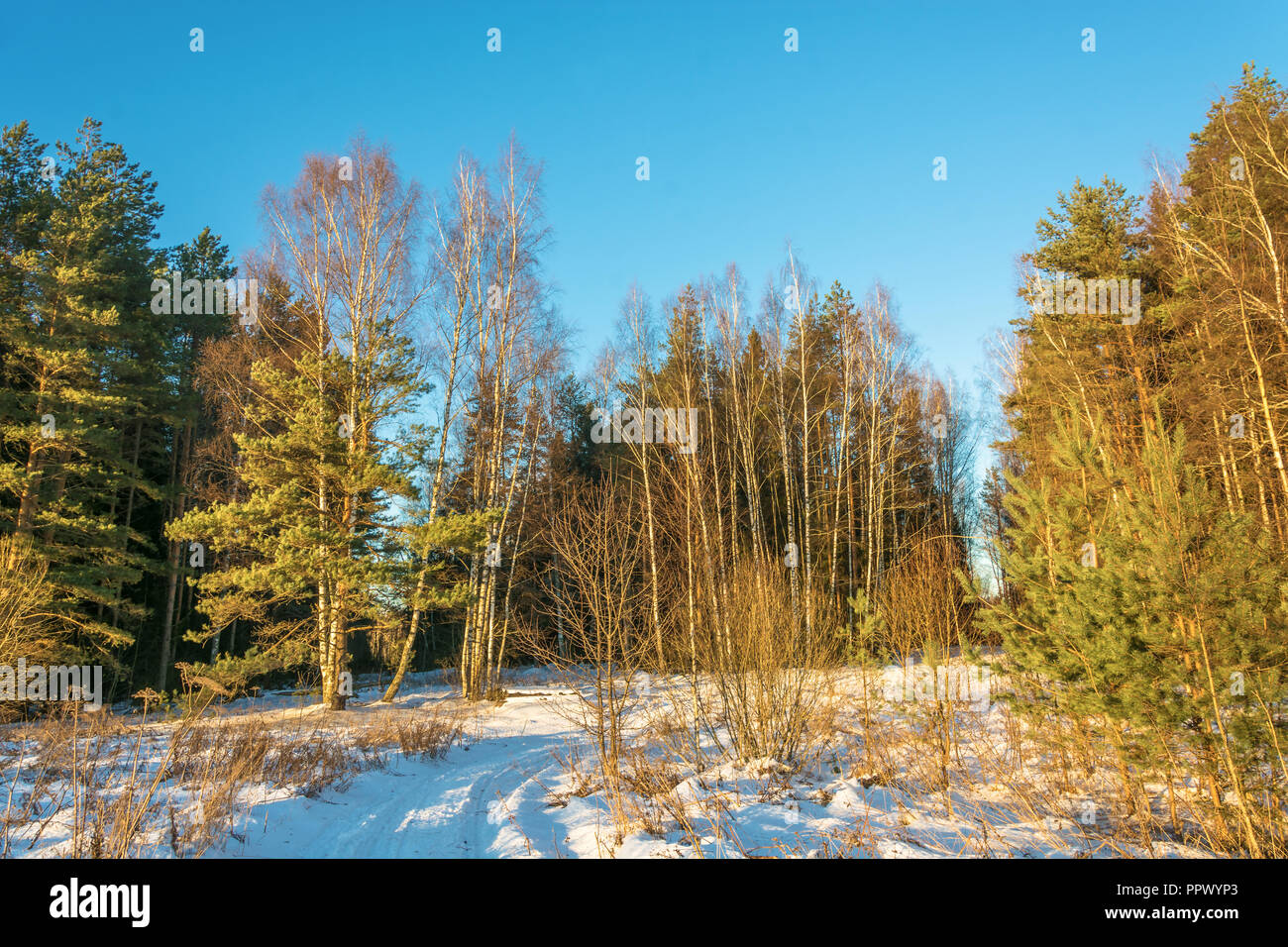 Beautiful Russian winter landscape in the sunset Stock Photo - Alamy