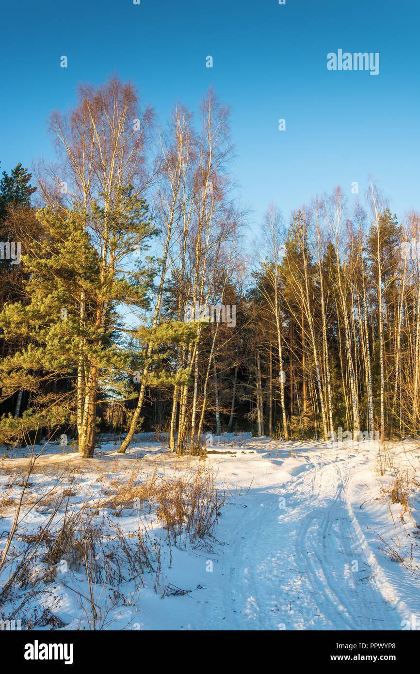 Beautiful Russian winter landscape in the sunset Stock Photo - Alamy