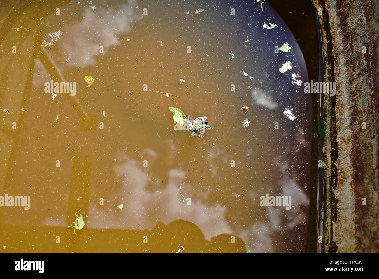 Drowned tank hi-res stock photography and images - Alamy