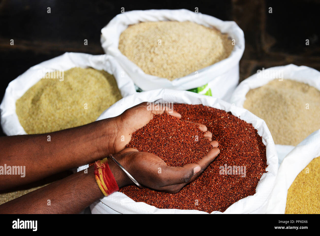 A colorful variety of millets used in Indian cuisine Stock Photo - Alamy