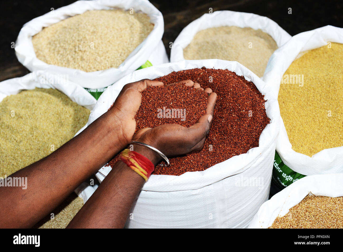A colorful variety of millets used in Indian cuisine Stock Photo - Alamy