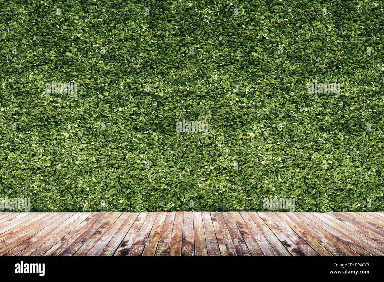 3d render of green vertical garden, wall background Stock Photo - Alamy