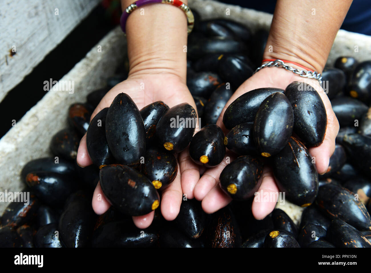 Sorsogon Stock Photos & Sorsogon Stock Images - Alamy