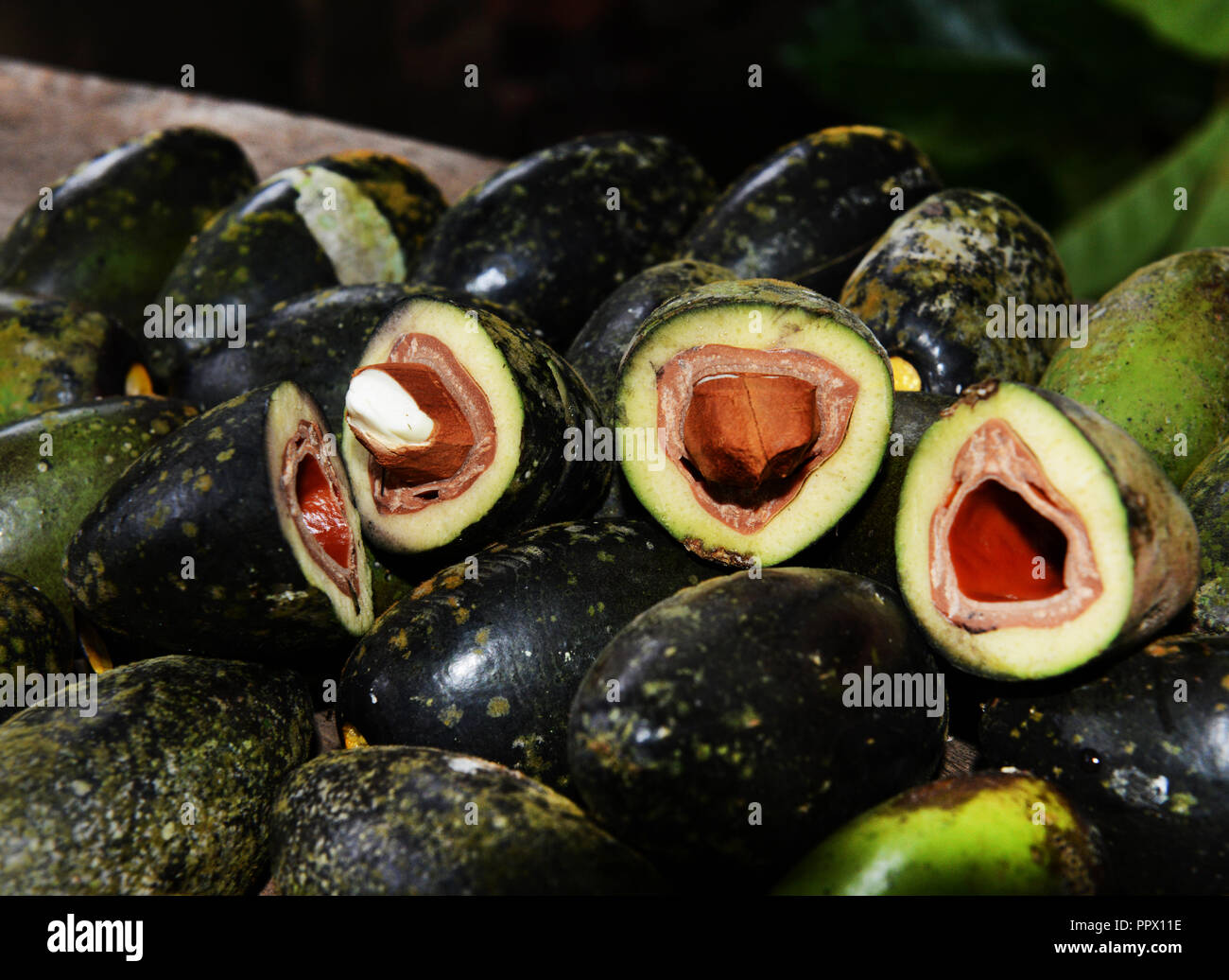 Pili fruits cut open Stock Photo - Alamy