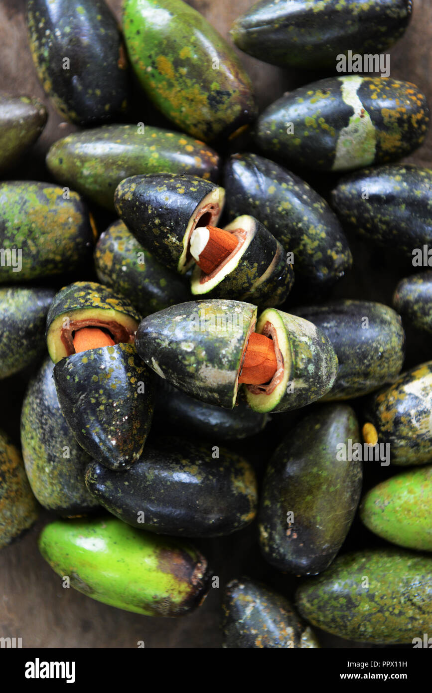 Pili Nut High Resolution Stock Photography and Images - Alamy