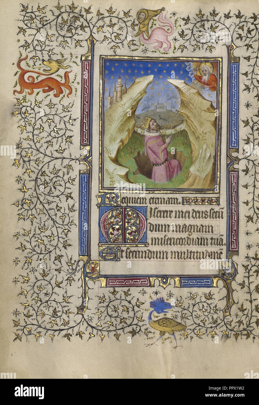 David egerton hi-res stock photography and images - Alamy