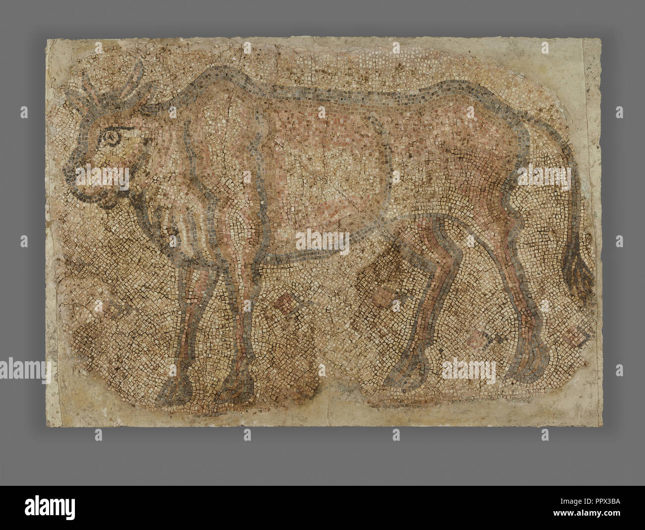 124 9 178 9 7 6 cm hi-res stock photography and images - Alamy