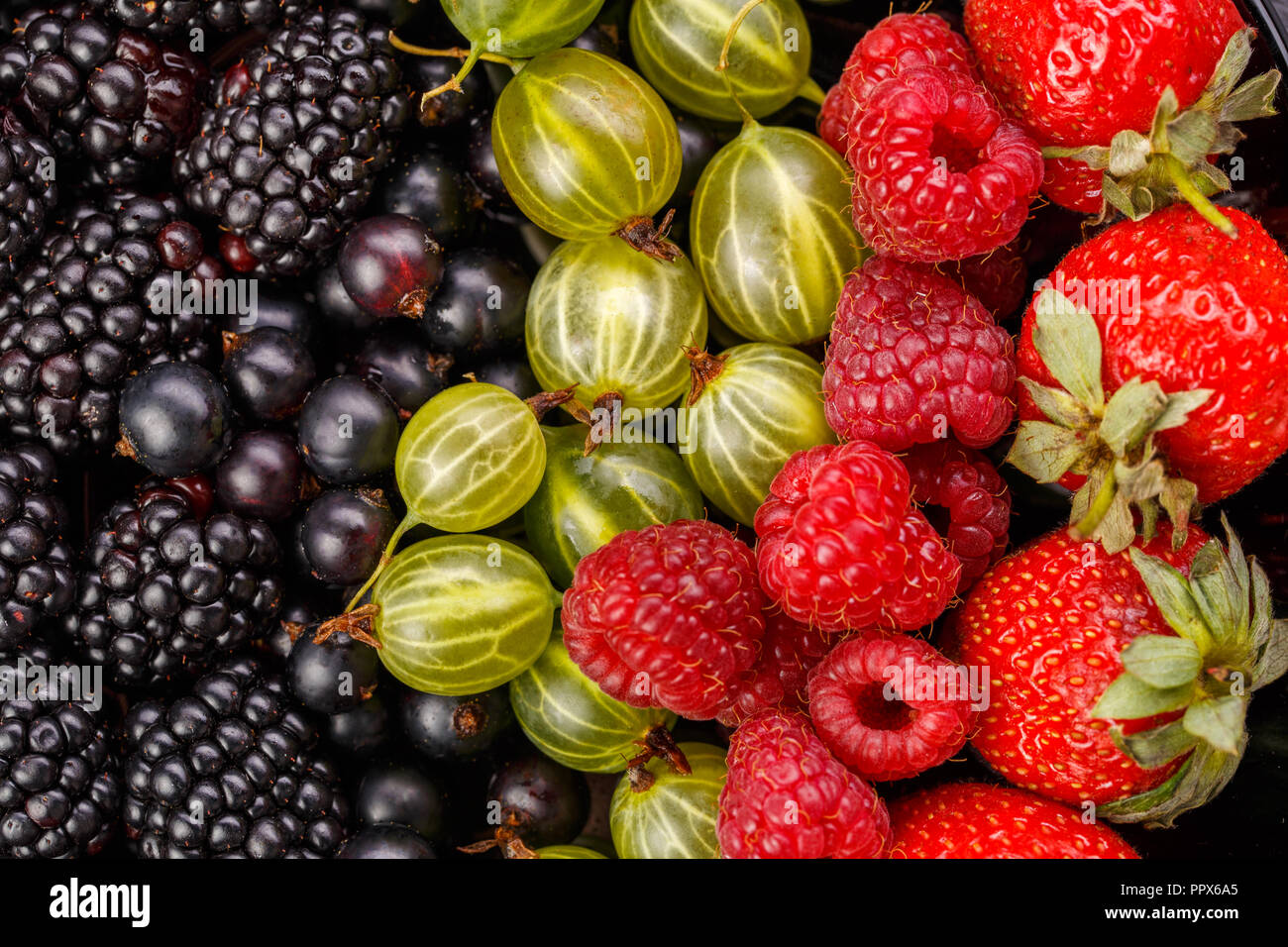 Image of blackberry, strawberry, raspberry, gooseberry, black currant ...