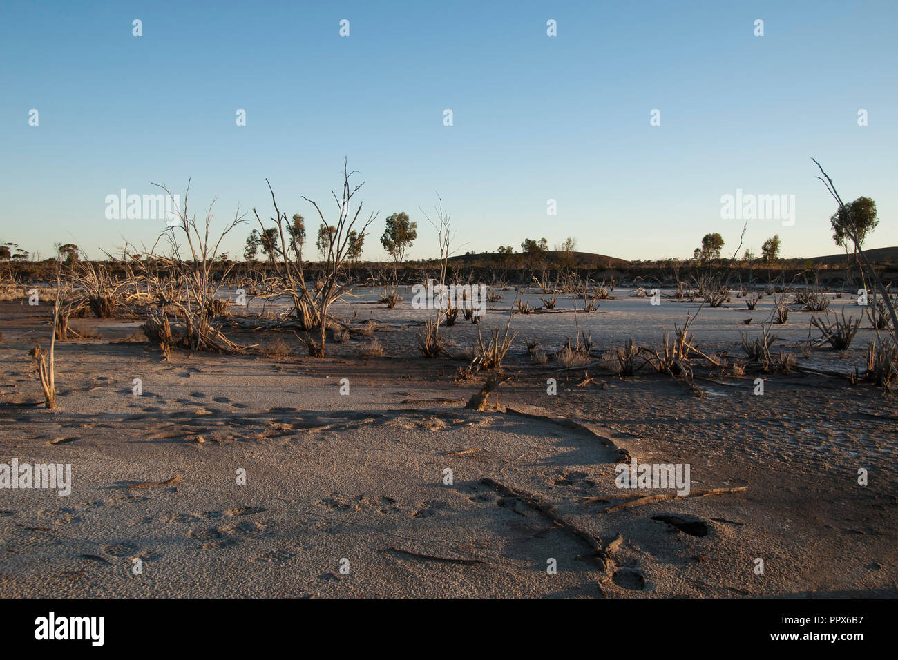 Hyden Australia, view around salt lake with footsteps in the sand Stock ...