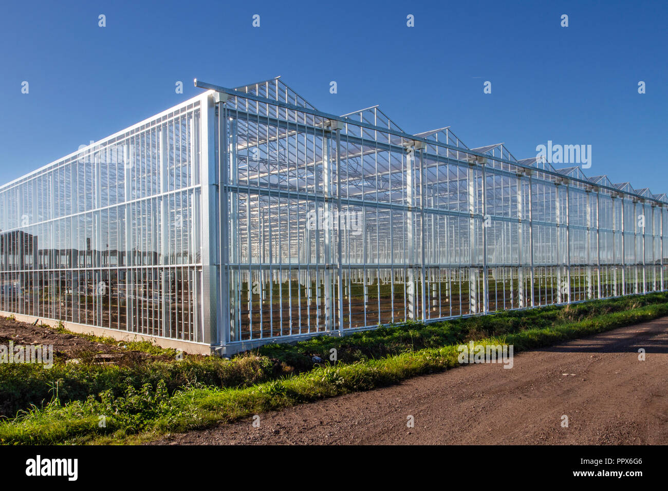 Climate controlled glass house hi-res stock photography and images - Alamy